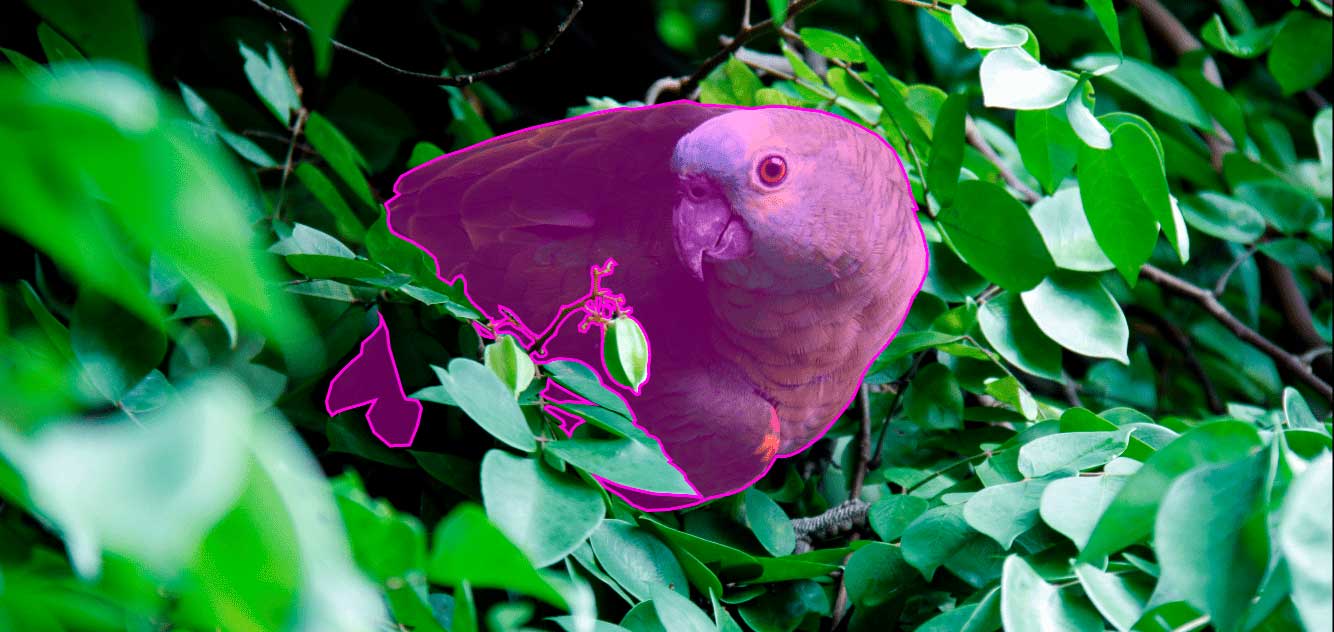 Semantic Segmentation: Uses and Applications | Keymakr