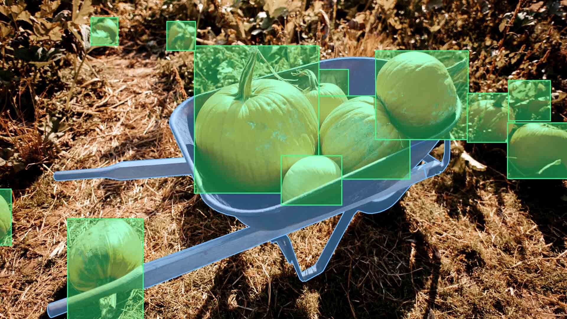 AI-powered Crop Yield Prediction and Harvest Optimization