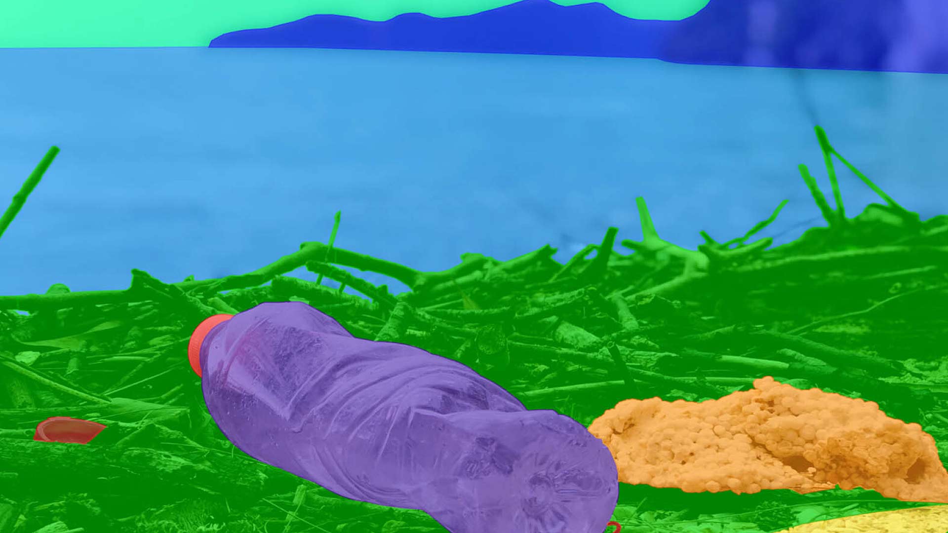 Image Annotation and Labeling: Best Practices | Keymakr