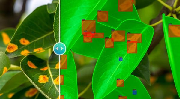 How To Use Image Annotation For Surface Defect Detection | Keymakr