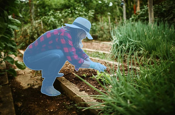 AI-powered Crop Yield Prediction and Harvest Optimization