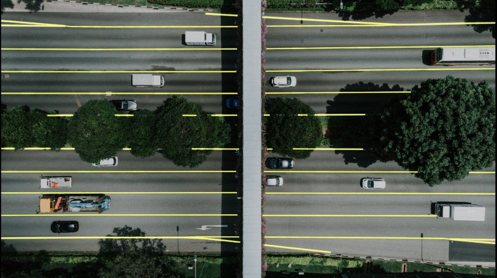 Searching Databases And Engaging In Societal Data Collection | Keymakr
