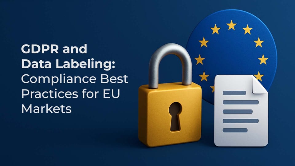 GDPR compliance in data labeling | Keymakr